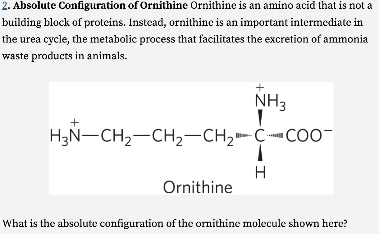 Solved 2. ﻿Absolute Configuration of Ornithine Ornithine is | Chegg.com