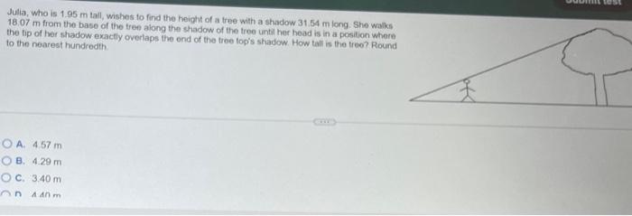 Solved Julia, who is 1.95 m tall, wishes to find the height | Chegg.com