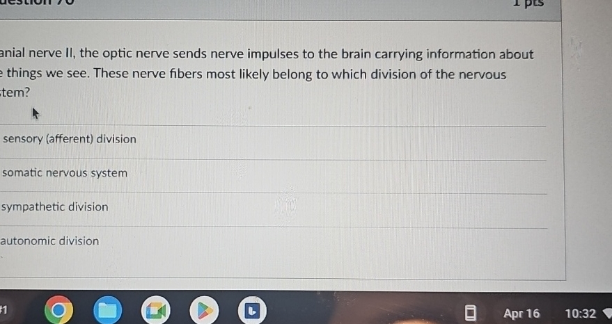 Solved anial nerve II, ﻿the optic nerve sends nerve impulses | Chegg.com