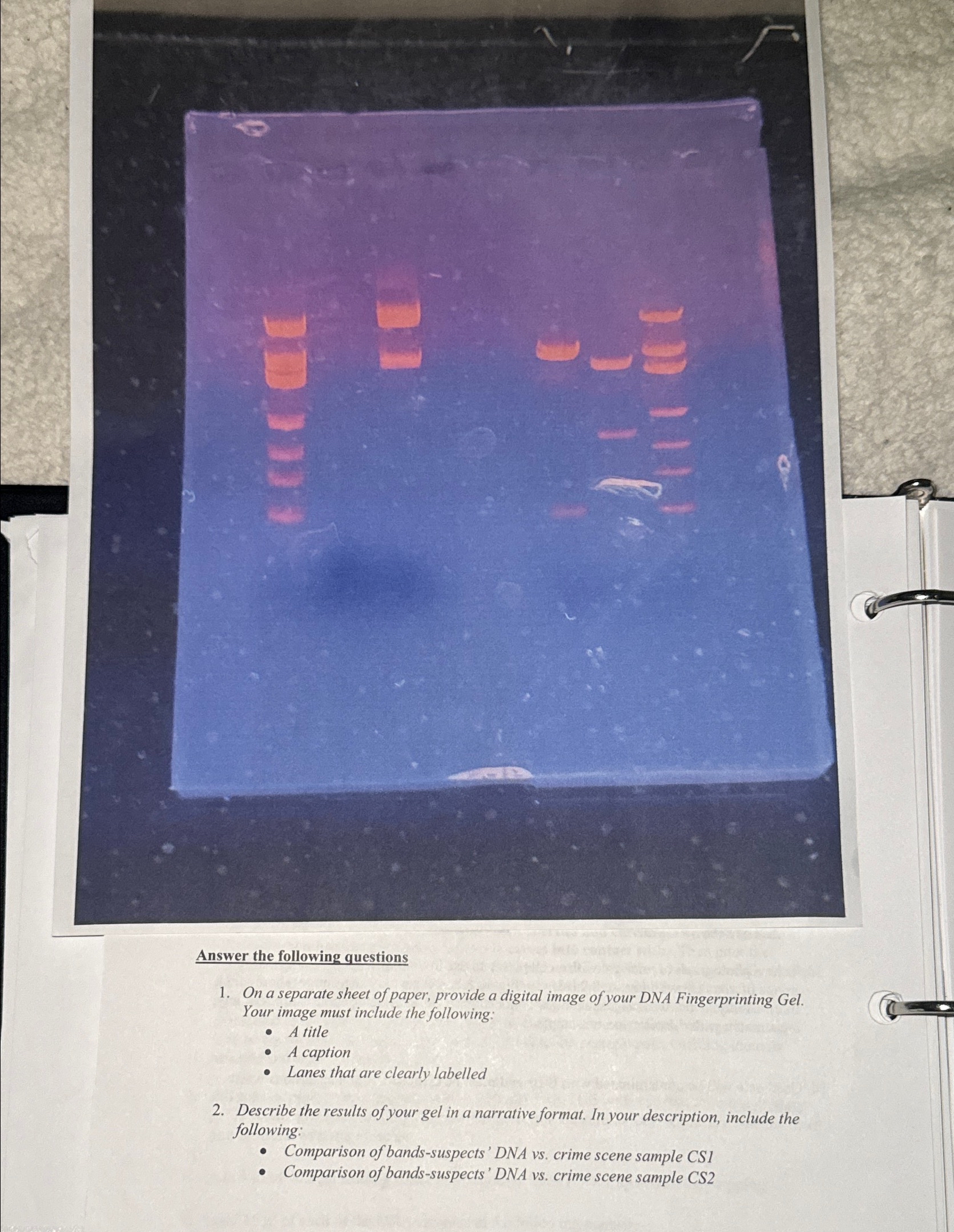 Solved Answer the following questionsOn a separate sheet of | Chegg.com