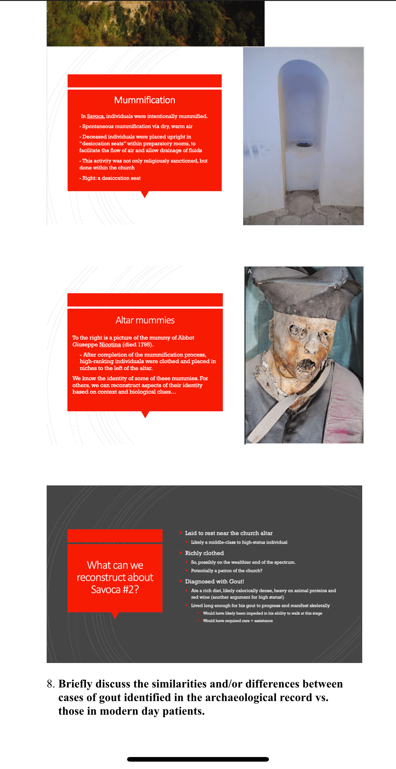Solved Briefly discuss the similarities and/or differences | Chegg.com
