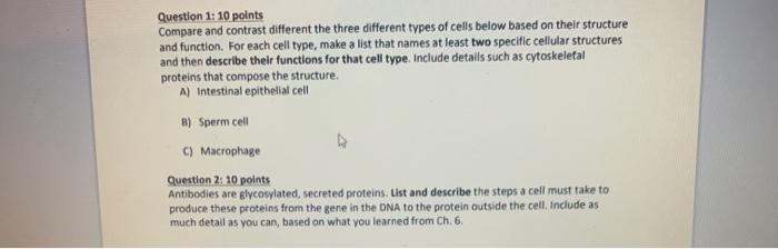 Question 1: 10 polnts Compare and contrast different | Chegg.com