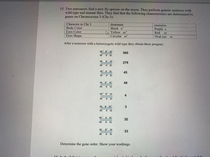 Solved is the order of gene correct and secondly, ﻿is there | Chegg.com