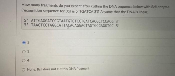 Solved How many fragments do you expect after cutting the | Chegg.com