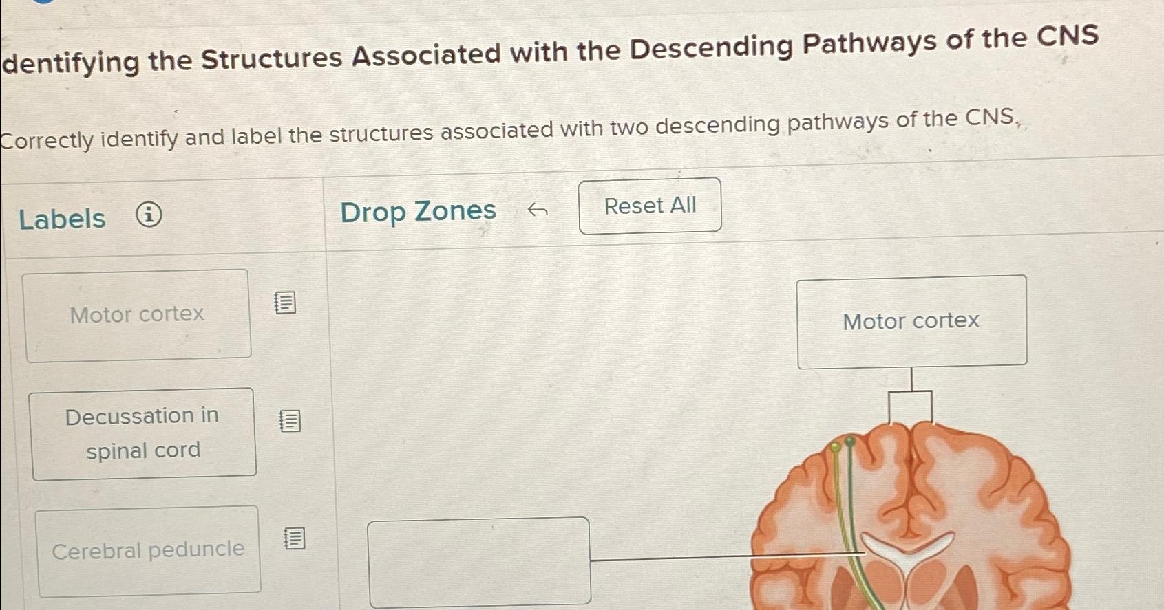 Solved dentifying the Structures Associated with the | Chegg.com