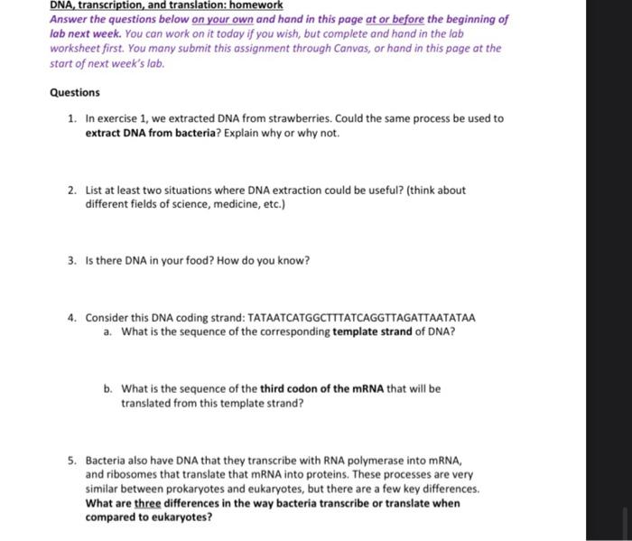 Solved DNA, transcription, and translation: homework Answer | Chegg.com