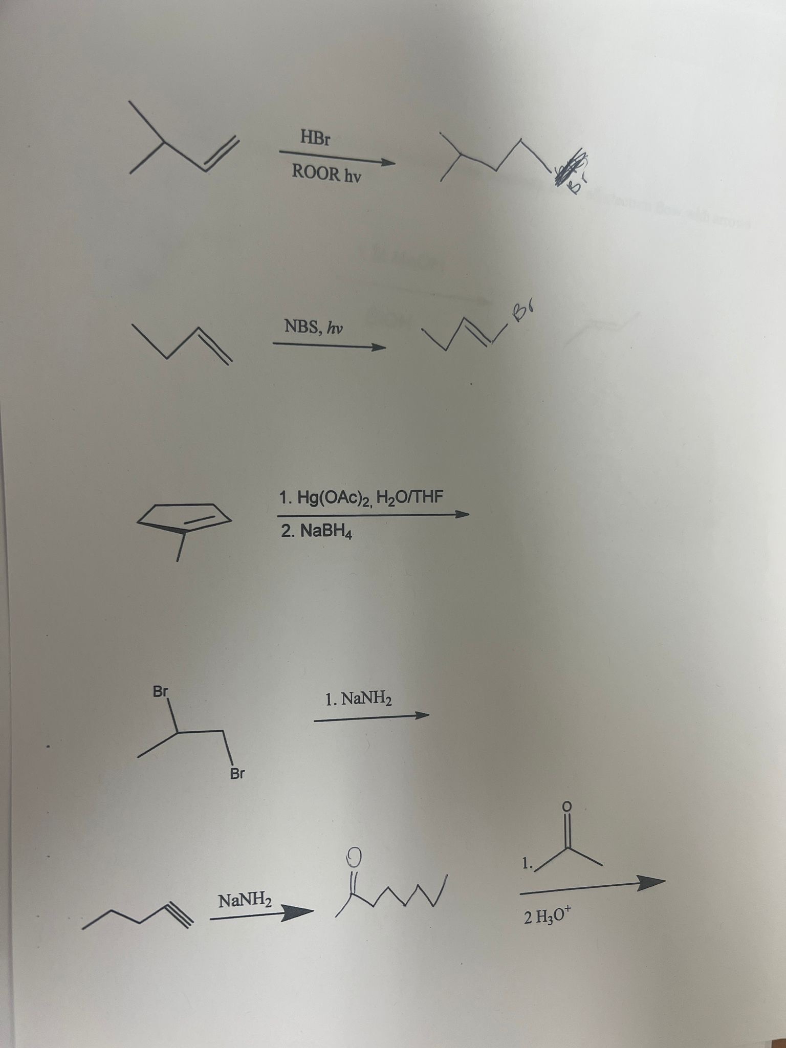 Solved Draw all major product for the following reaction and | Chegg.com