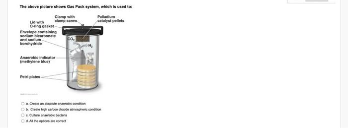 Solved The above picture shows Gas Pack system, which is | Chegg.com