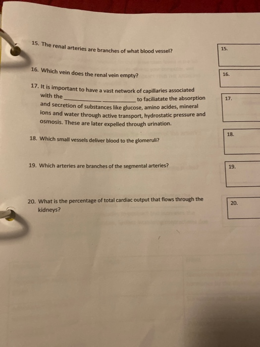 Solved Week 4 Laboratory Assignment Duilize this template to | Chegg.com