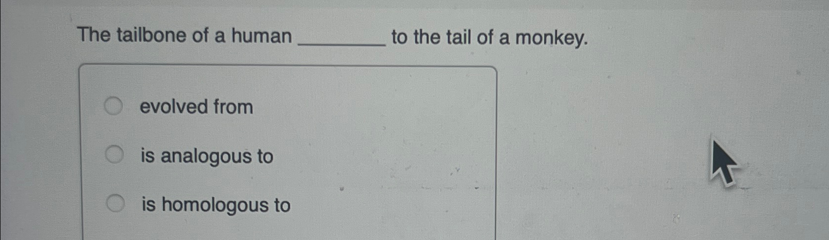 Solved The tailbone of a human to the tail of a | Chegg.com
