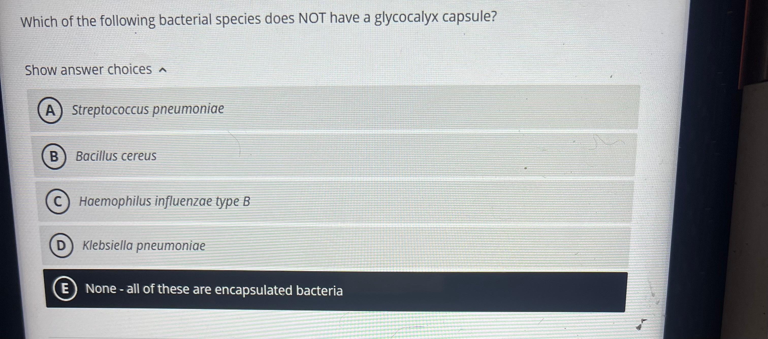 Solved Which of the following bacterial species does NOT | Chegg.com