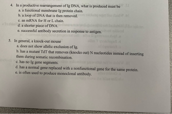 Solved 4. In a productive rearrangement of Ig DNA, what is | Chegg.com