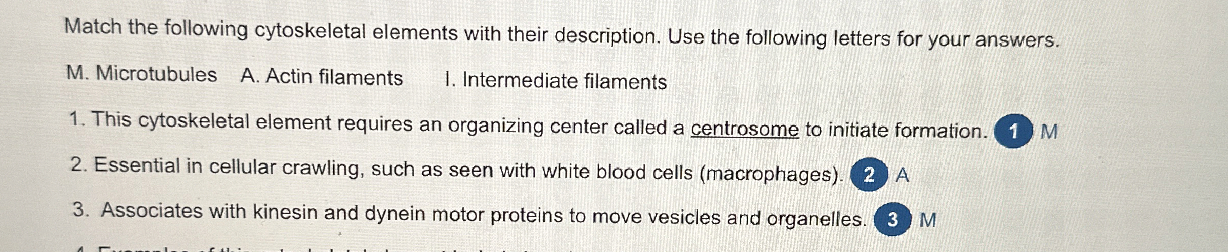 Solved Match the following cytoskeletal elements with their | Chegg.com