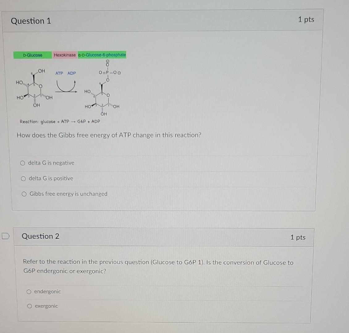 Solved How does the Gibbs free energy of ATP change in this | Chegg.com