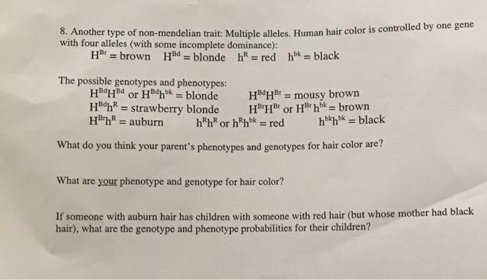 Solved 8. Another type of non-mendelian trait: Multiple | Chegg.com