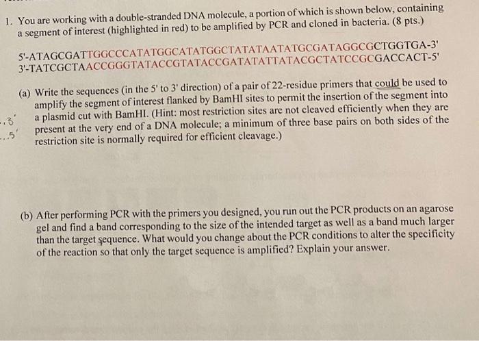 Solved You are working with a double-stranded DNA molecule, | Chegg.com