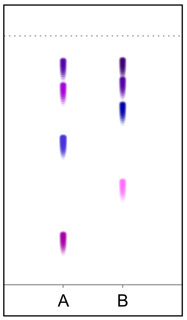 Solved \table[[1,1],[1,1],[1,1]]amino acid ﻿Rf ﻿ aspartic | Chegg.com