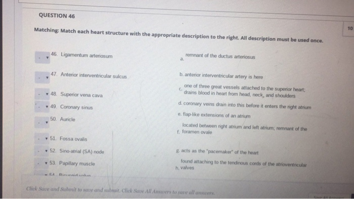 Solved QUESTION 46 Matching: Match each heart structure with | Chegg.com