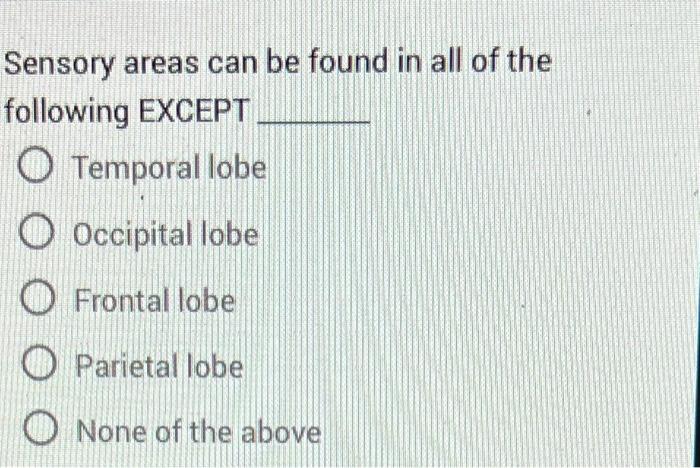 Solved Sensory areas can be found in all of the following | Chegg.com