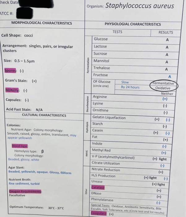 Staphylococcus aureus Flowchart heck Date Organism: | Chegg.com