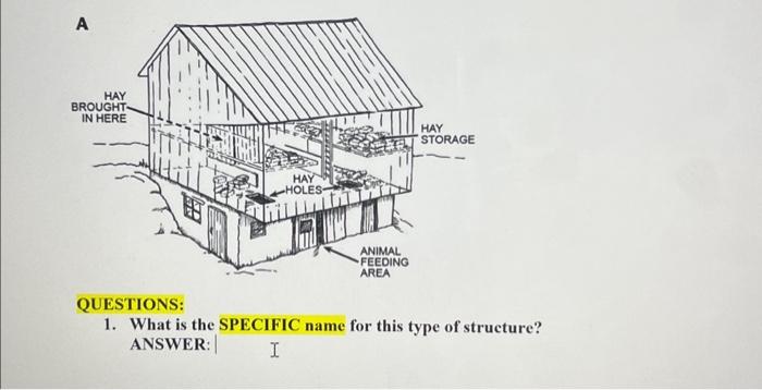 Solved QUESTIONS: 1. What is the SPECIFIC name for this type | Chegg.com