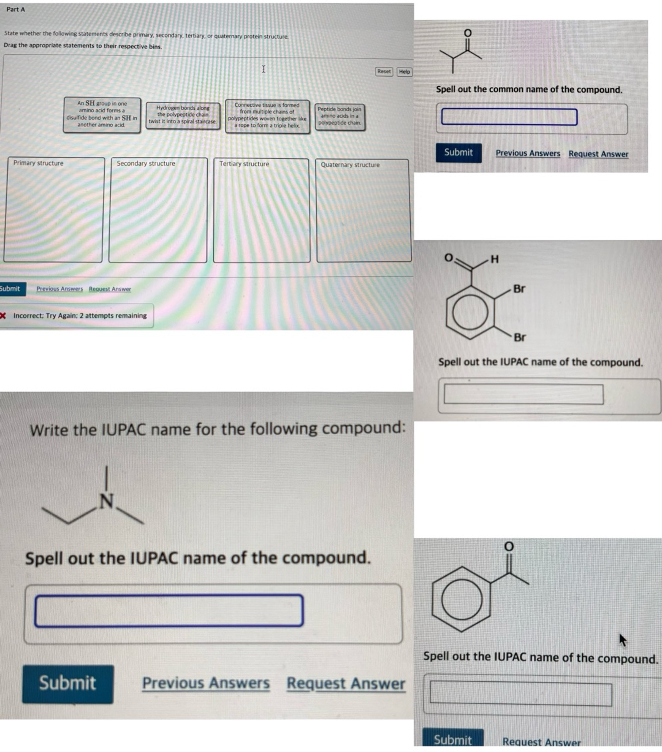 Solved Write the IUPAC name for the following compound:Spell | Chegg.com