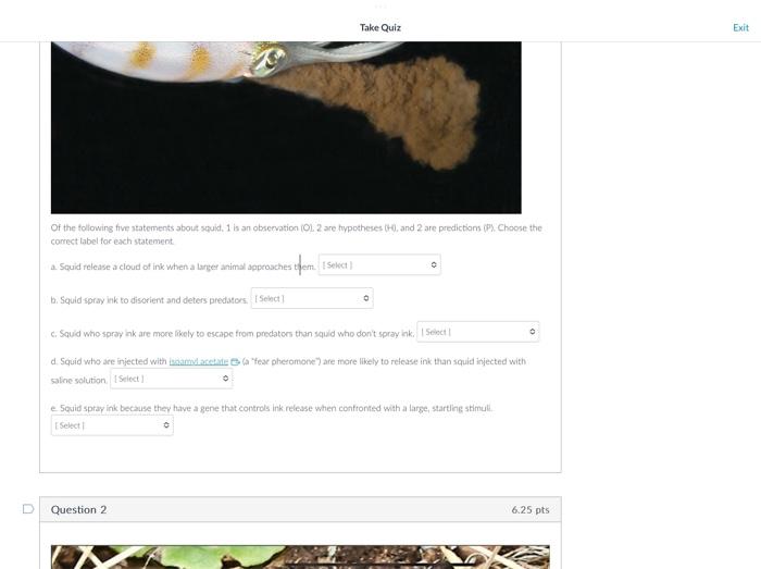 Solved Of the following five statements about squid, 1 is an | Chegg.com