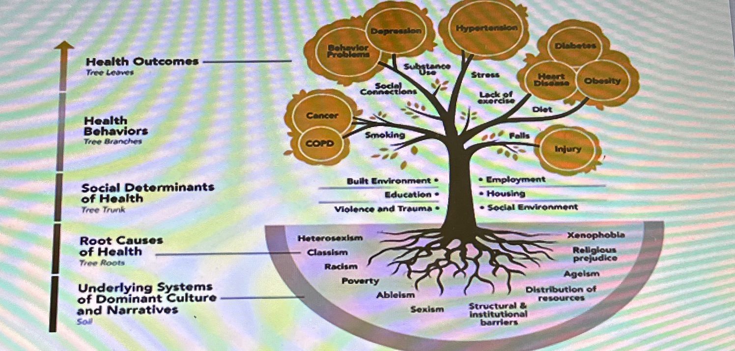 What is one root cause of health | Chegg.com
