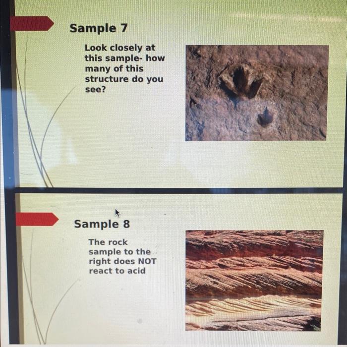 Solved Using the sedimentary structures provided in the lab, | Chegg.com
