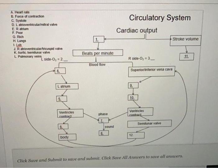 Solved A Heart rate B Force of contraction C. Systole D.L | Chegg.com