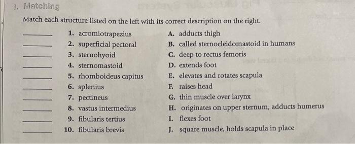 Solved Match each structure listed on the left with its | Chegg.com
