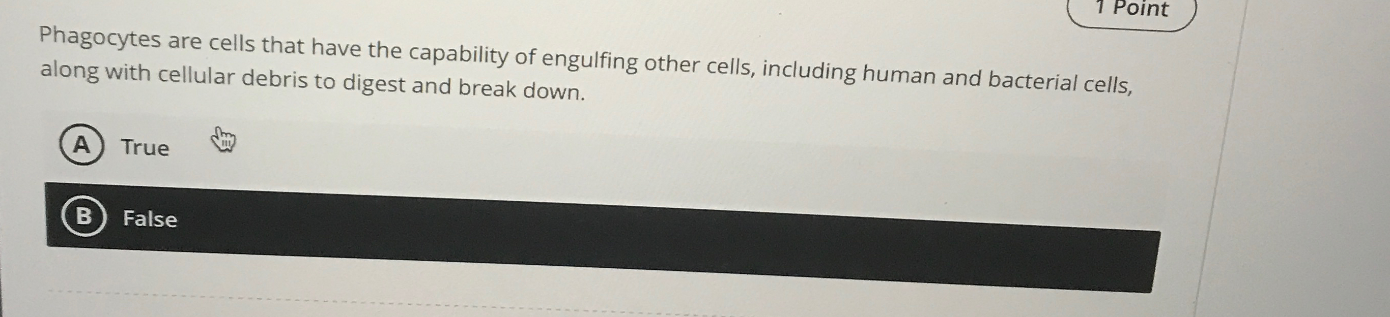 Solved 1 ﻿PointPhagocytes are cells that have the capability | Chegg.com