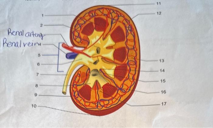Solved label parts | Chegg.com