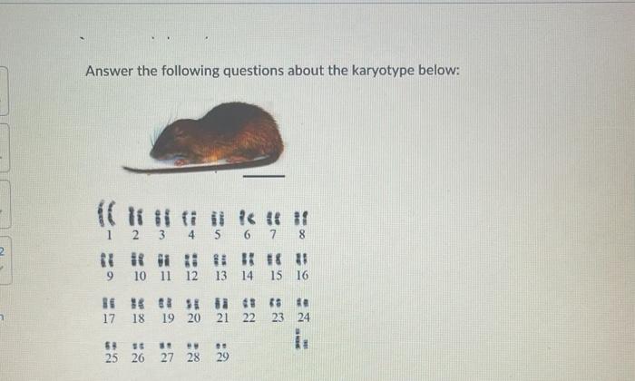 2 Answer the following questions about the karyotype | Chegg.com