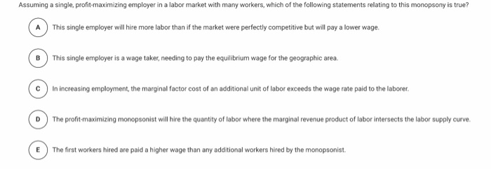 Solved Assuming a single, profit-maximizing employer in a | Chegg.com Solved Assuming a single, profit-maximizing employer in a | Chegg.com