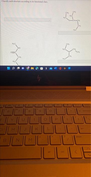 Solved Classify each structure according to its functional | Chegg.com