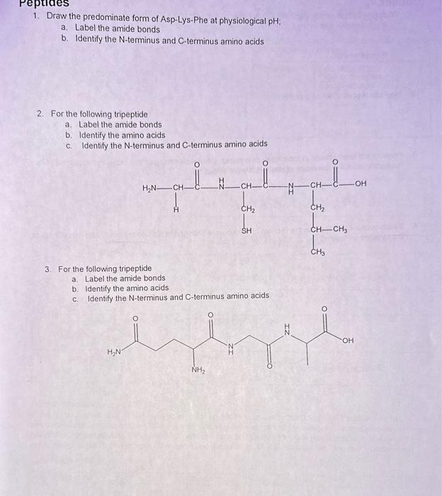 Solved 1. Draw the predominate form of Asp-Lys-Phe at | Chegg.com