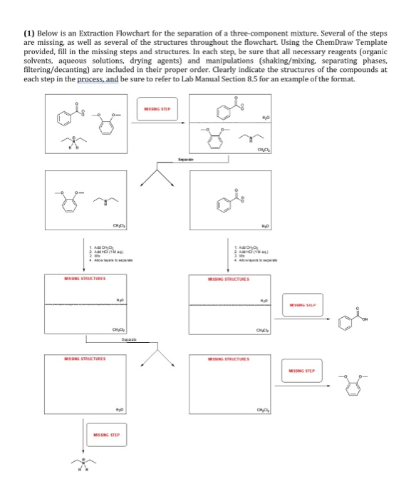 (1) Below is an Extraction Flowchart for the | Chegg.com