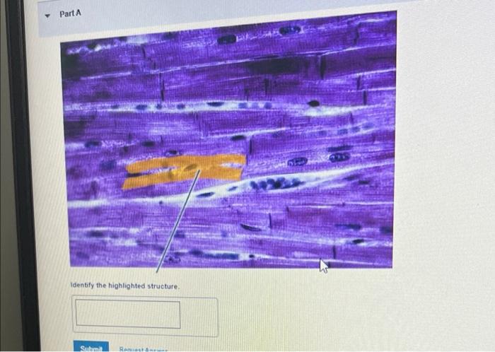 Solved Part A Identify the highlighted structure. Submit | Chegg.com