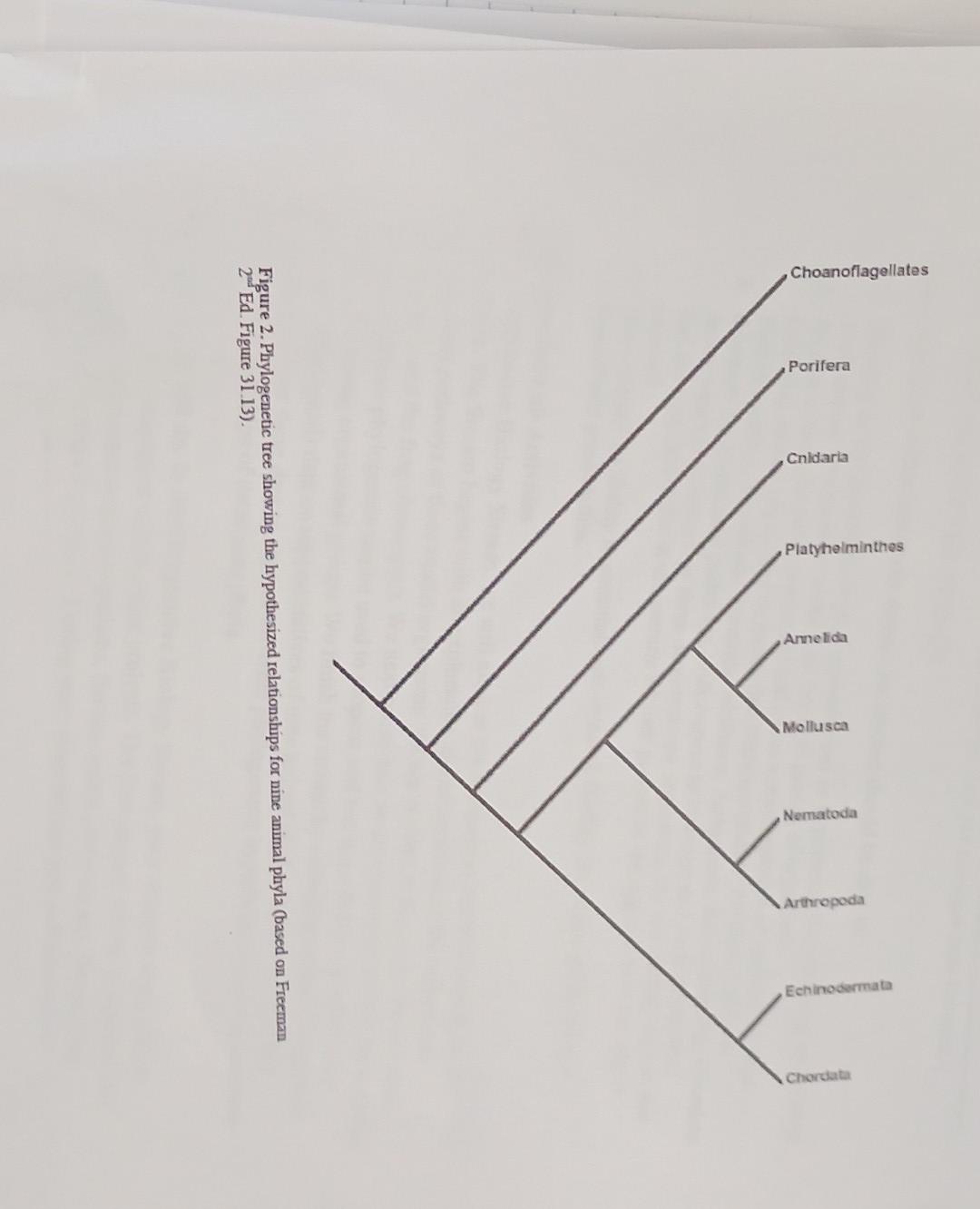 Solved 1. using your completed data tables from the | Chegg.com Solved 1. using your completed data tables from the | Chegg.com