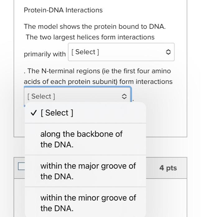 Solved Question 11 Protein-DNA Interactions The model shows | Chegg.com