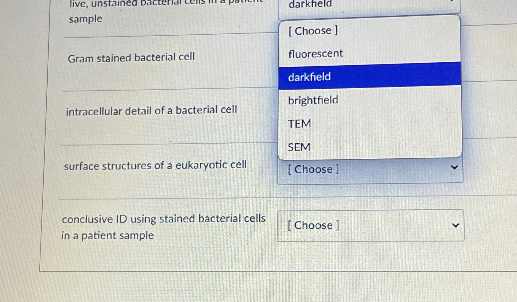 Solved \table[[[ ﻿Choose ],],[Gram stained bacterial | Chegg.com