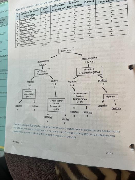 Solved so i posted a flow chart question but it wouldnt let | Chegg.com