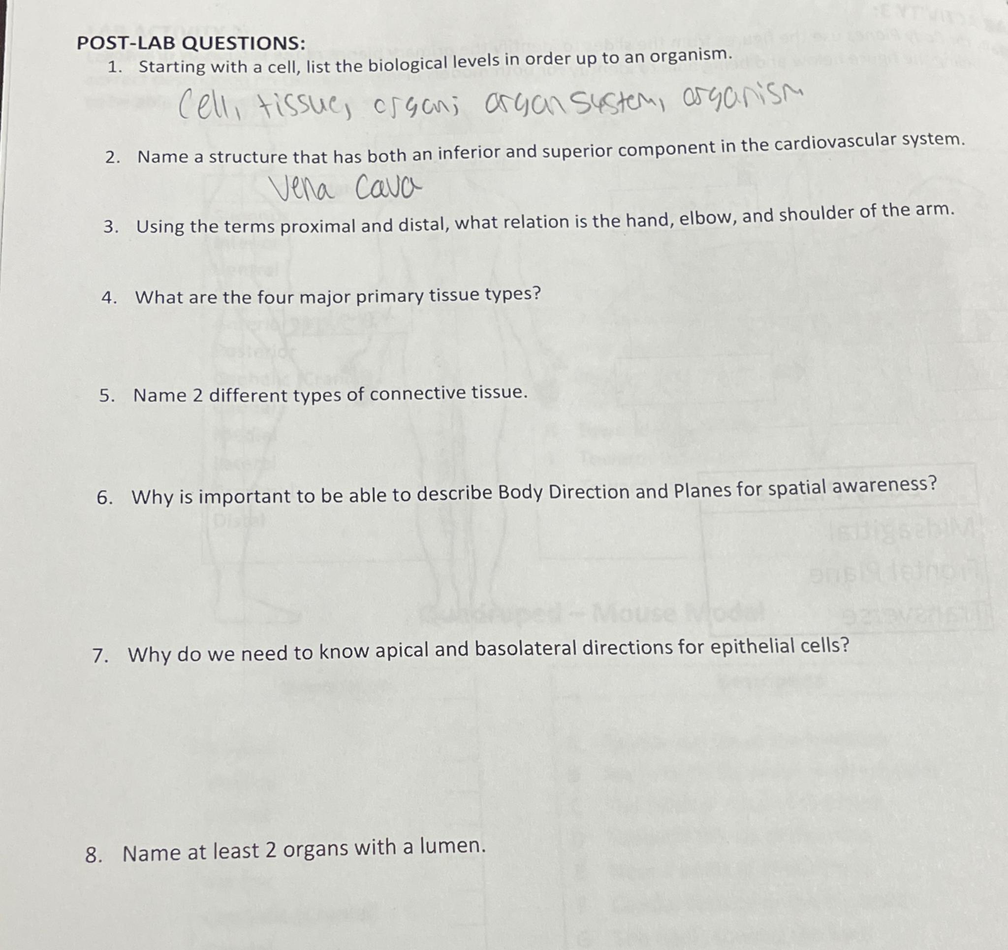 Solved POST-LAB QUESTIONS:Starting with a cell, list the | Chegg.com
