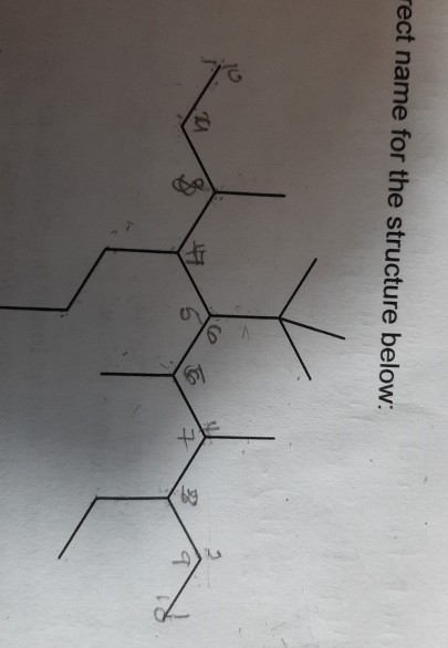 Solved rect name for the structure below: 7 구 2 9 | Chegg.com