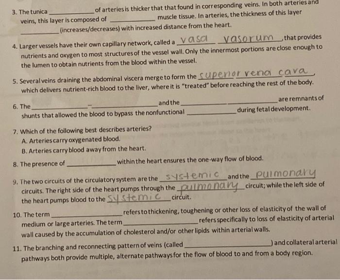 Solved Heart and Vessels PRE-LAB ACTIVITY 1 Label the | Chegg.com