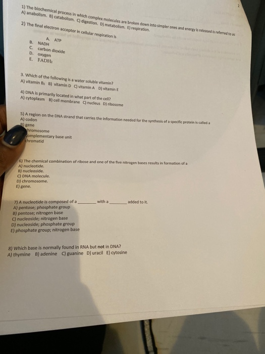 Solved 1) The biochemical process in which complex molecules | Chegg.com