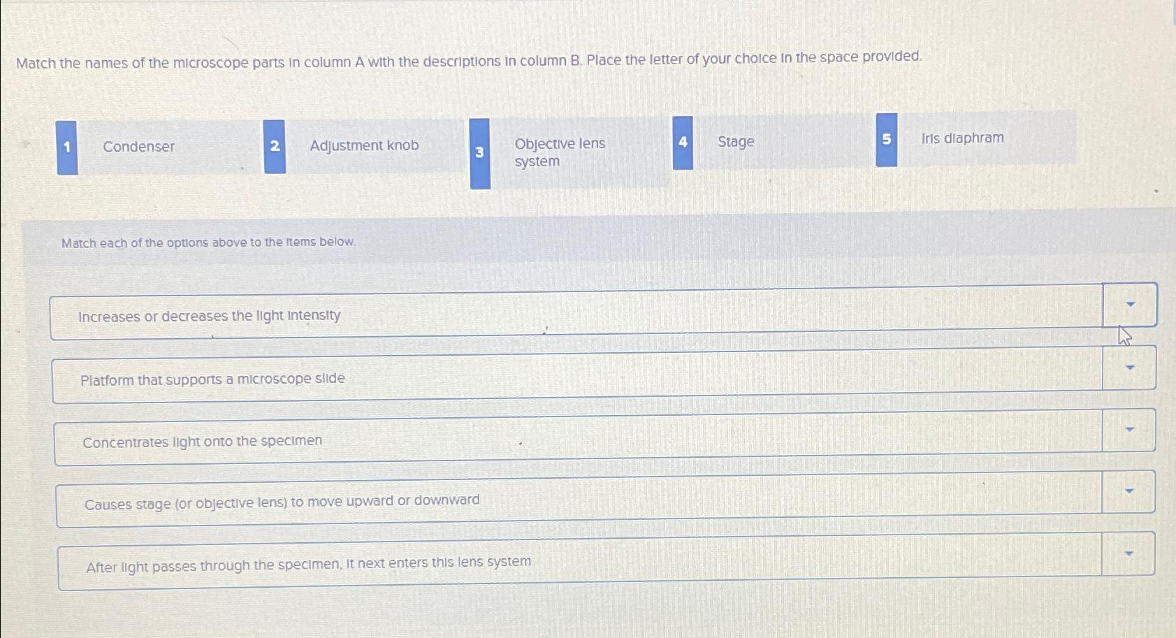 Solved Match the names of the microscope parts in column A | Chegg.com
