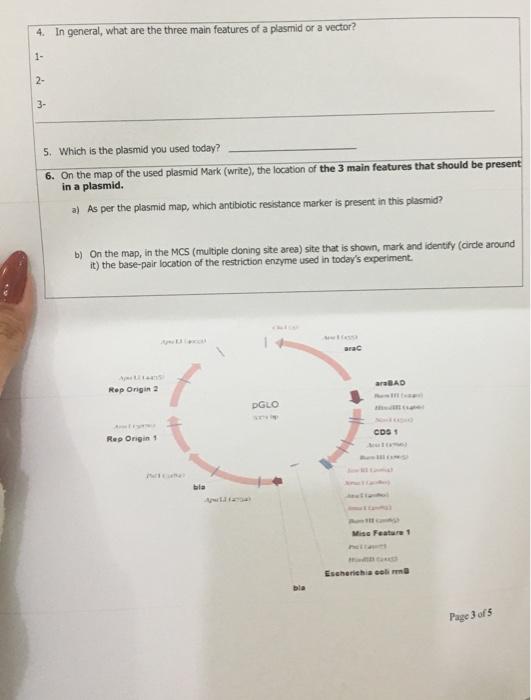 Solved Part I Outline of the Plasmid Isolation 1. Why is the | Chegg.com