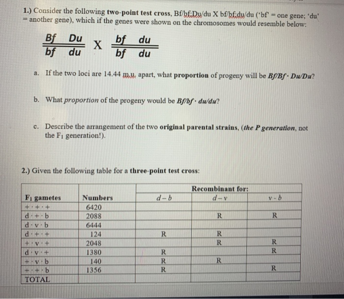 Solved 1.) Consider the following two-point test cross, | Chegg.com